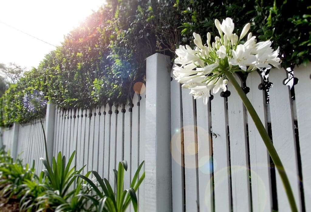 Different Types of Fences: Materials, Styles, & Their Benefits